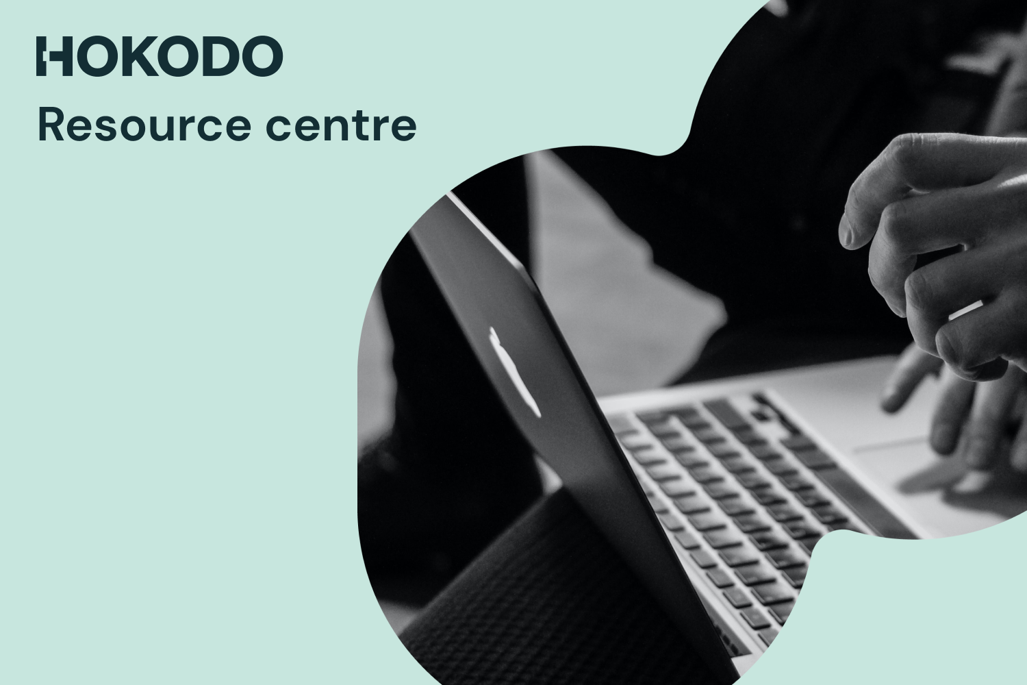 Hokodo resources | Articles, white papers, ebooks and more